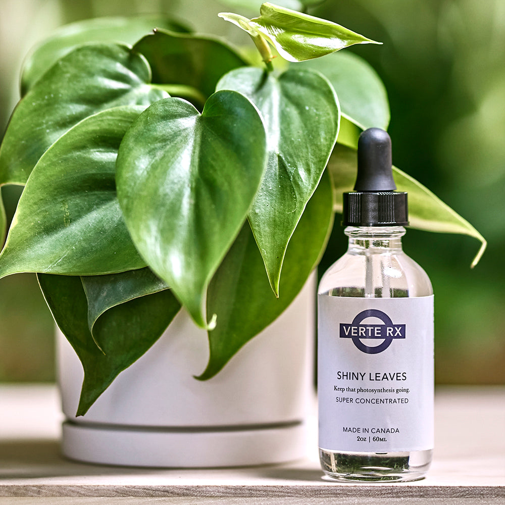 Shiny Leaves | Plant Supplements – Verte Rx